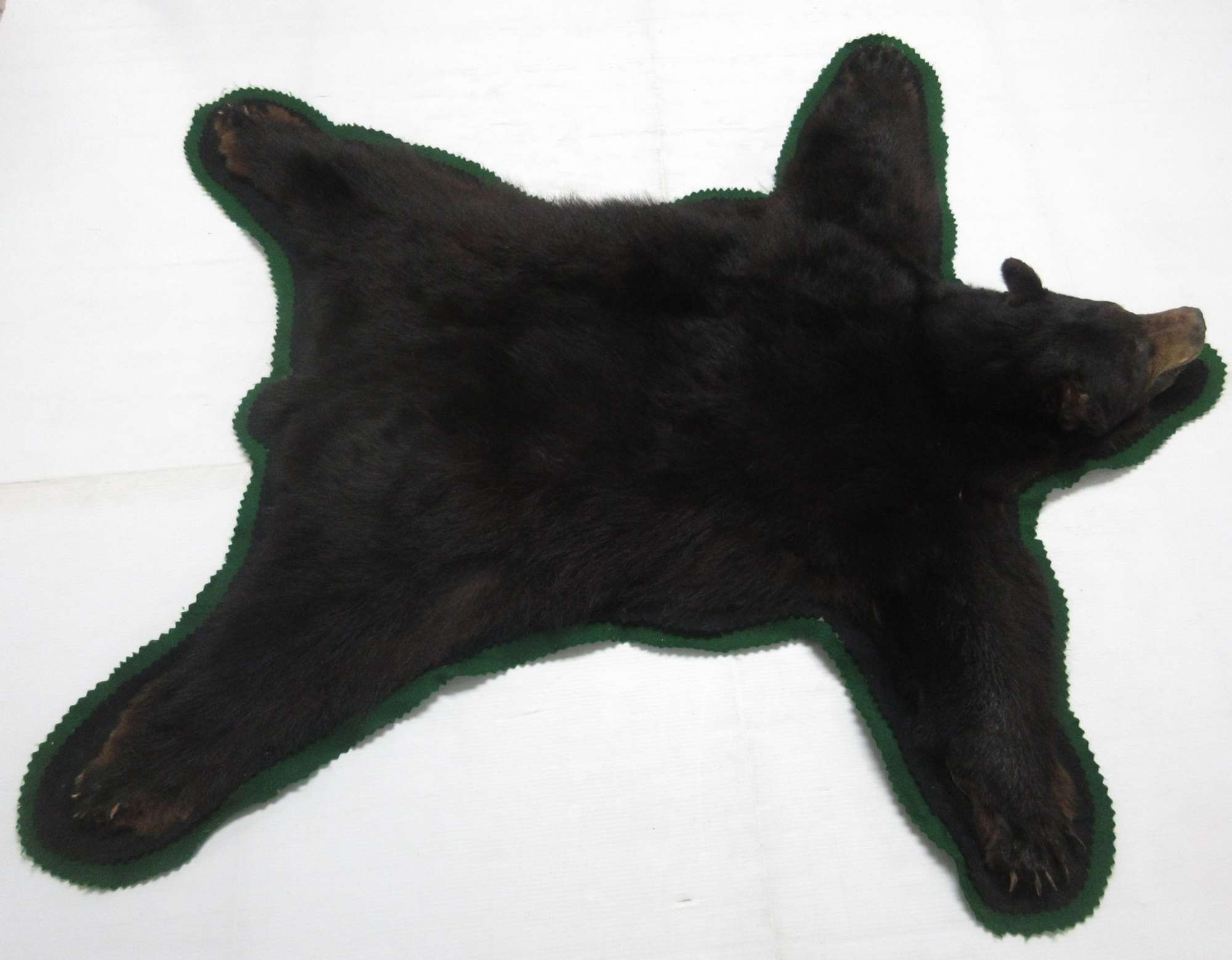 Albrecht Auctions | Large Bear Skin Rug Wall Hanger