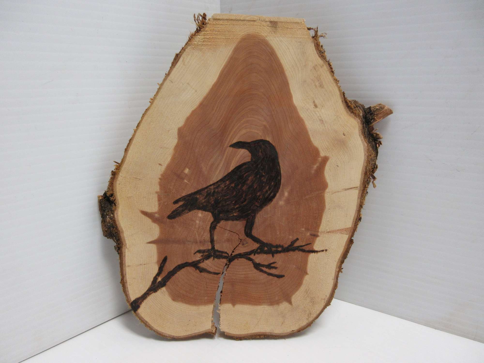 Albrecht Auctions | Michigan Made Burned Crow Sign, Local Artist