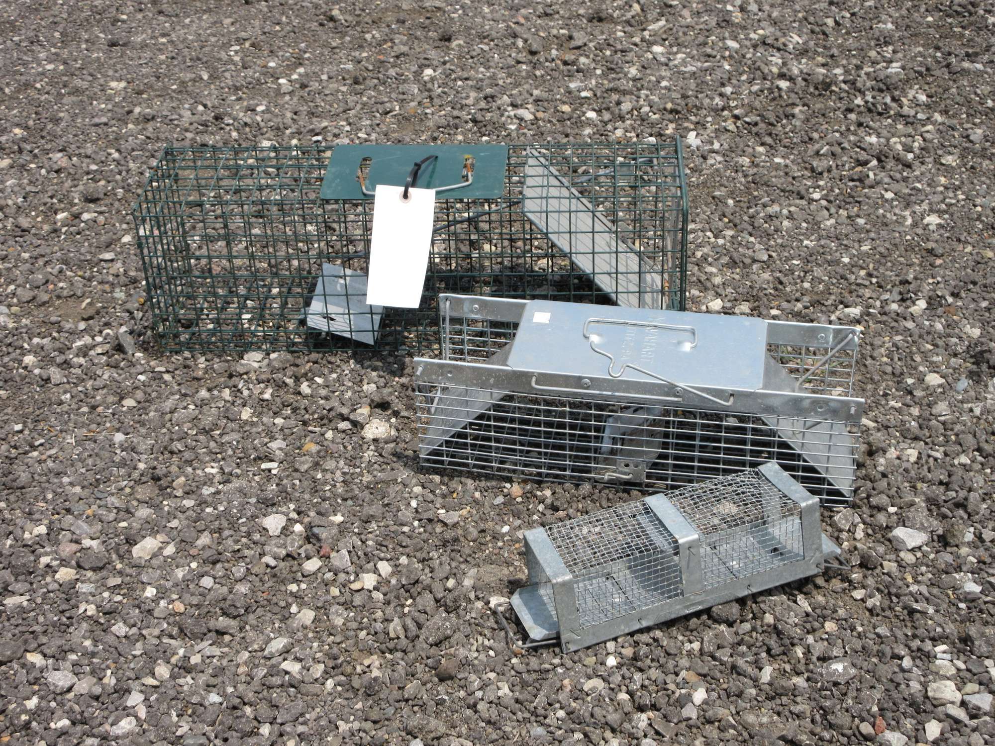 Albrecht Auctions | (3) Smaller Live Traps for Rabbits, Rats, Opossums ...