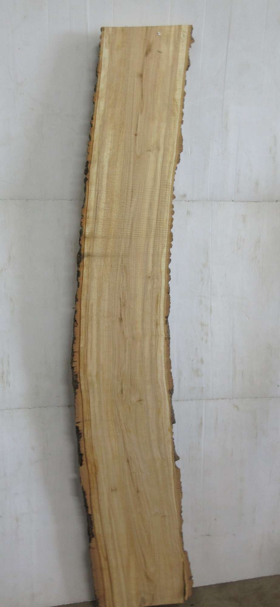 Albrecht Auctions | Aspen Wood Board, Live Edge, Rough Sawn