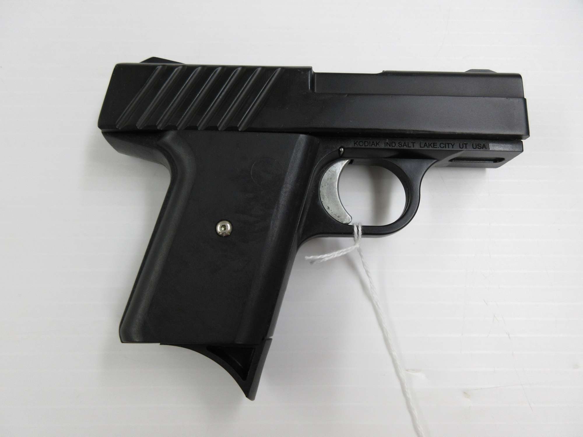 Albrecht Auctions | Cobra Firearms Denali .380ACP, Black Polymer Frame