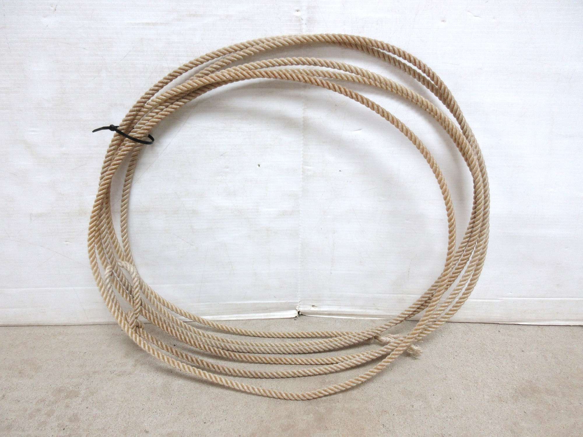 Albrecht Auctions | Cowboy Lasso